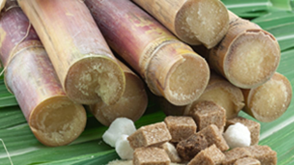 DamlaNem Kimya | Moleküler Sieve